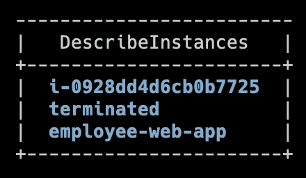 Terminating EC2 Instances with the AWS CLI | Herman White